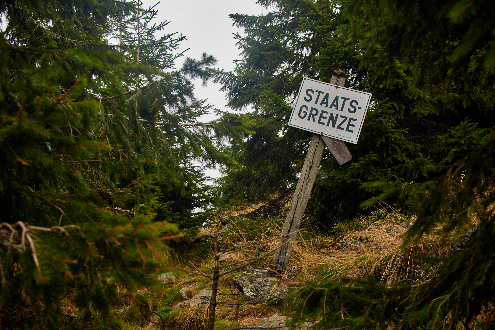 Wanderung zum Großen Osser im Bayerischen Wald | https://deutschland ...