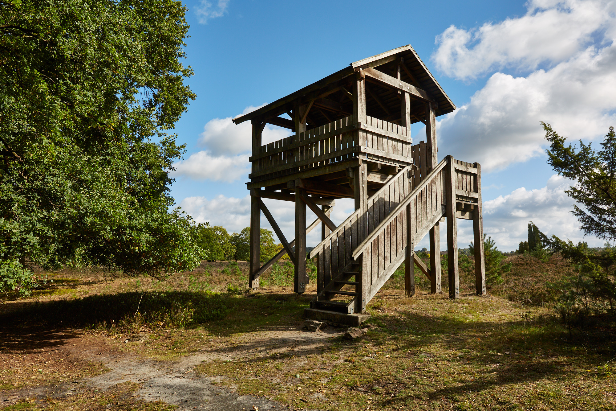 Lüneburger Heide: Wilseder Berg und Totengrund | https://deutschland ...