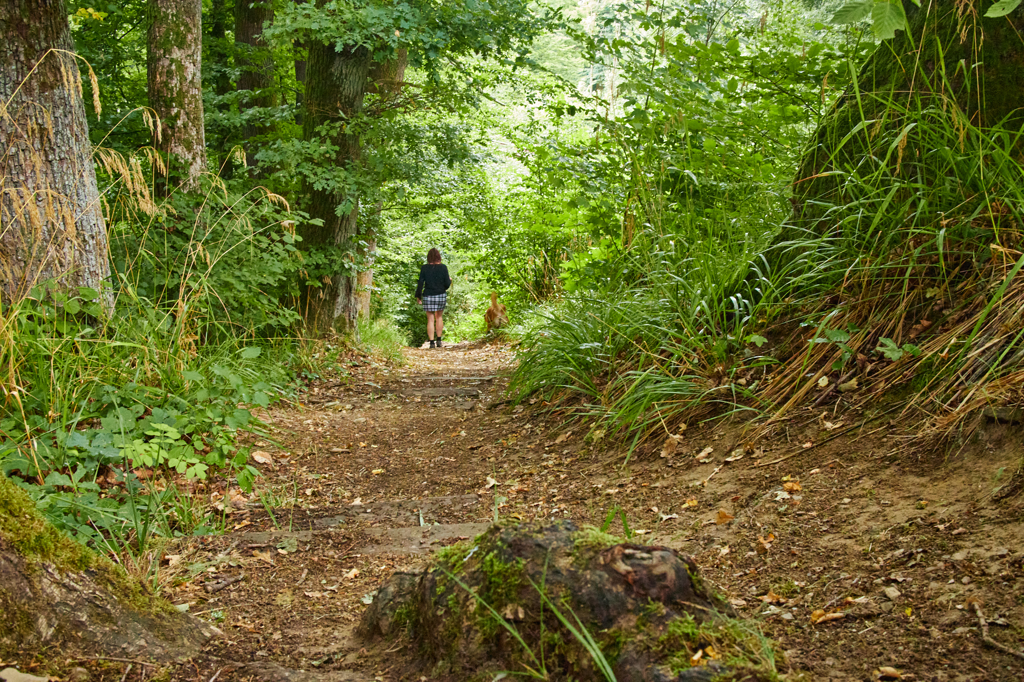 Hachenburg - dier Perle des Westerwalds | deutschland-outdoor