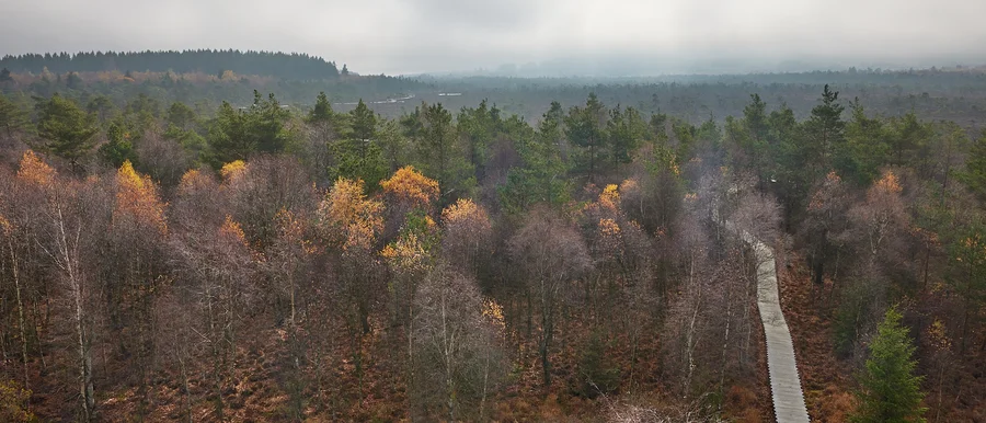 Schwarzes Moor Rhön